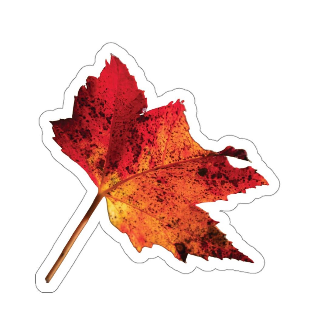 Maple Leaf Stickers, Autumn Leaves Sticker, Fall Maple Leaf, Autumn and ...