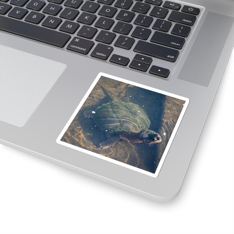 Snapping Turtle in the Water Kiss-cut Sticker, Animal Lover Gift ...