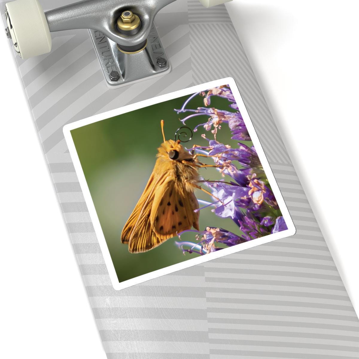 Fancy Moth Sticker, Orange Moth, Pretty Moth on Flowers, Insect Sticker ...