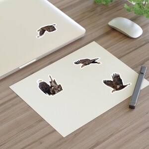 Bald Eagle Sticker Pack, Four Bald Eagle Stickers, 4 Eagle Stickers ...