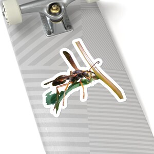 Wasp Sticker, Fancy Wasps, Wasp Drinking Water, Wasp With a Dew Drop ...