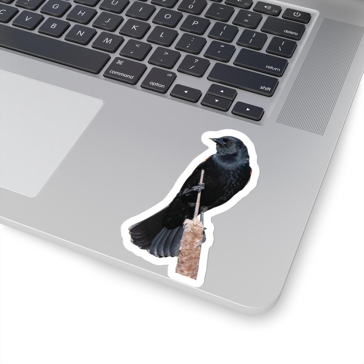 Red-winged Blackbird Sticker, Red Winged Black Bird, Black Bird Singing ...