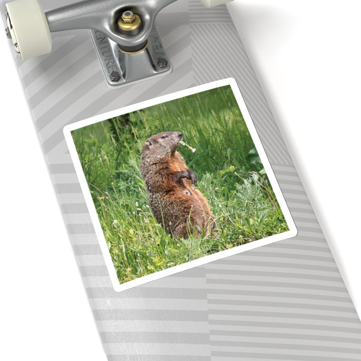 Groundhog Stickers, Woodchuck Stickers, Ground Hogs, Mammal Stickers ...