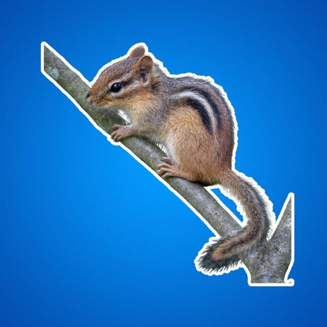 Chipmunk in a Tree Stickers, Chip Munk Sticker, Ground Squirrel Sticker ...