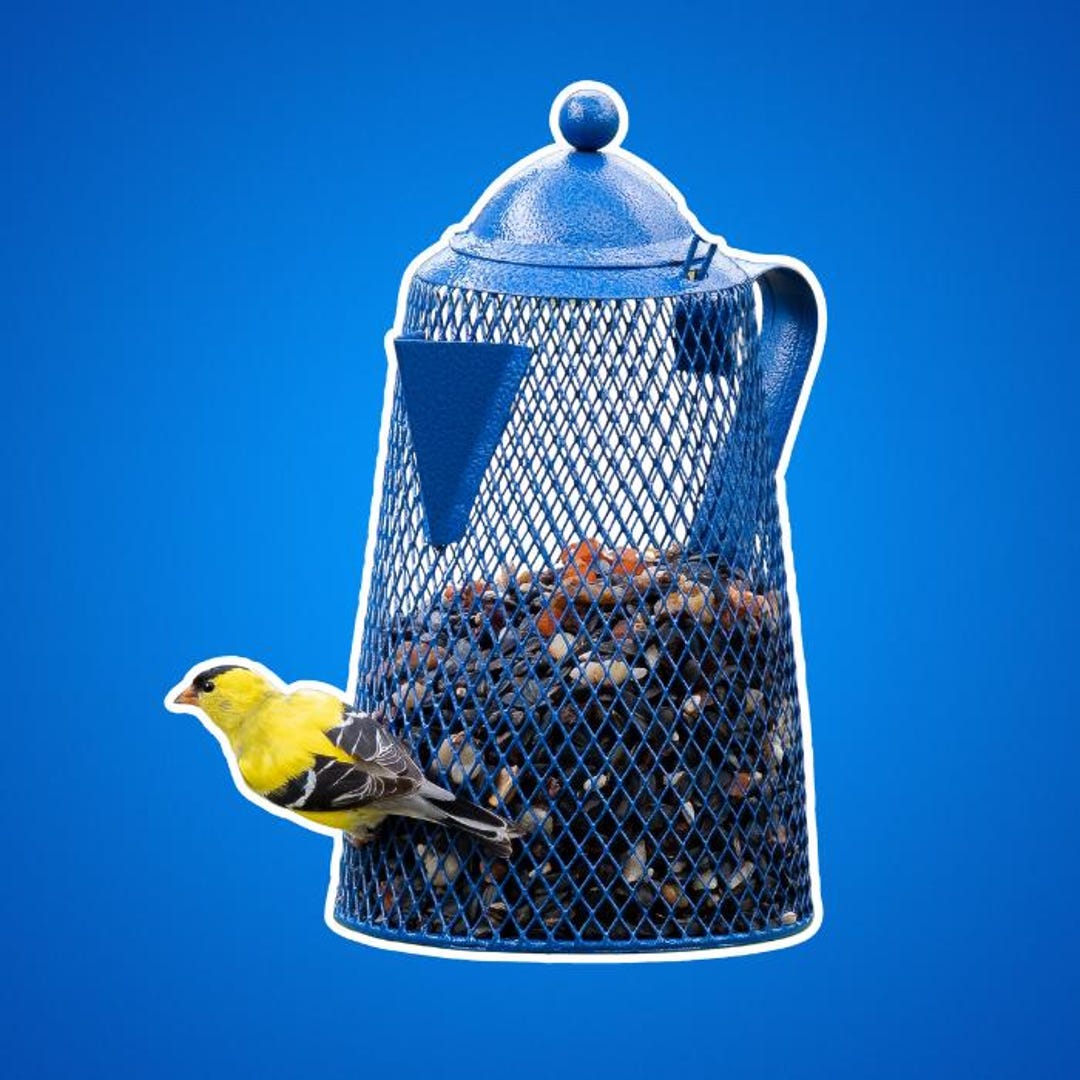 Goldfinch, Birdwatcher Stickers, Nature Lover Sticker, Outdoor ...
