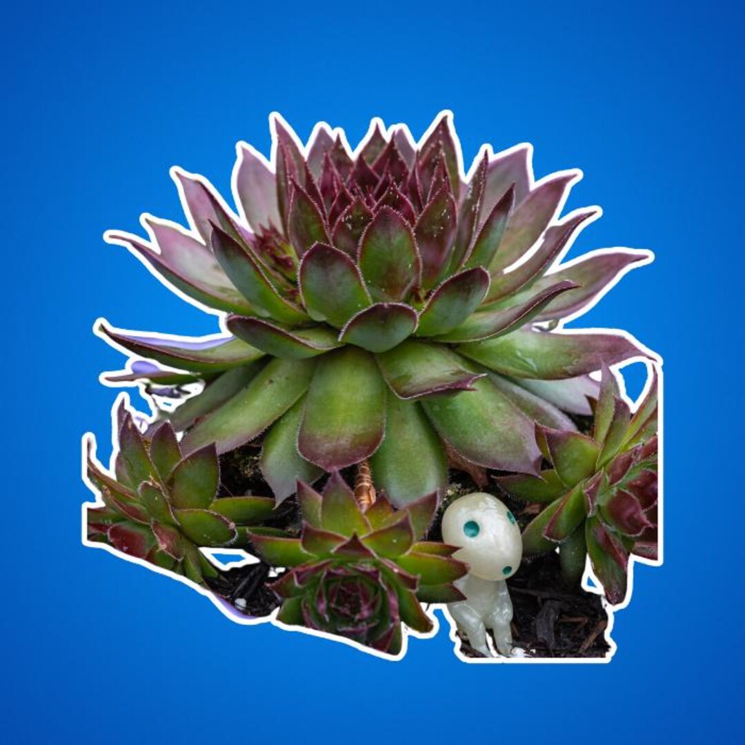 Alien and Succulent Kiss-cut Stickers, Fun Spaceship Laptop Decal, Cute ...