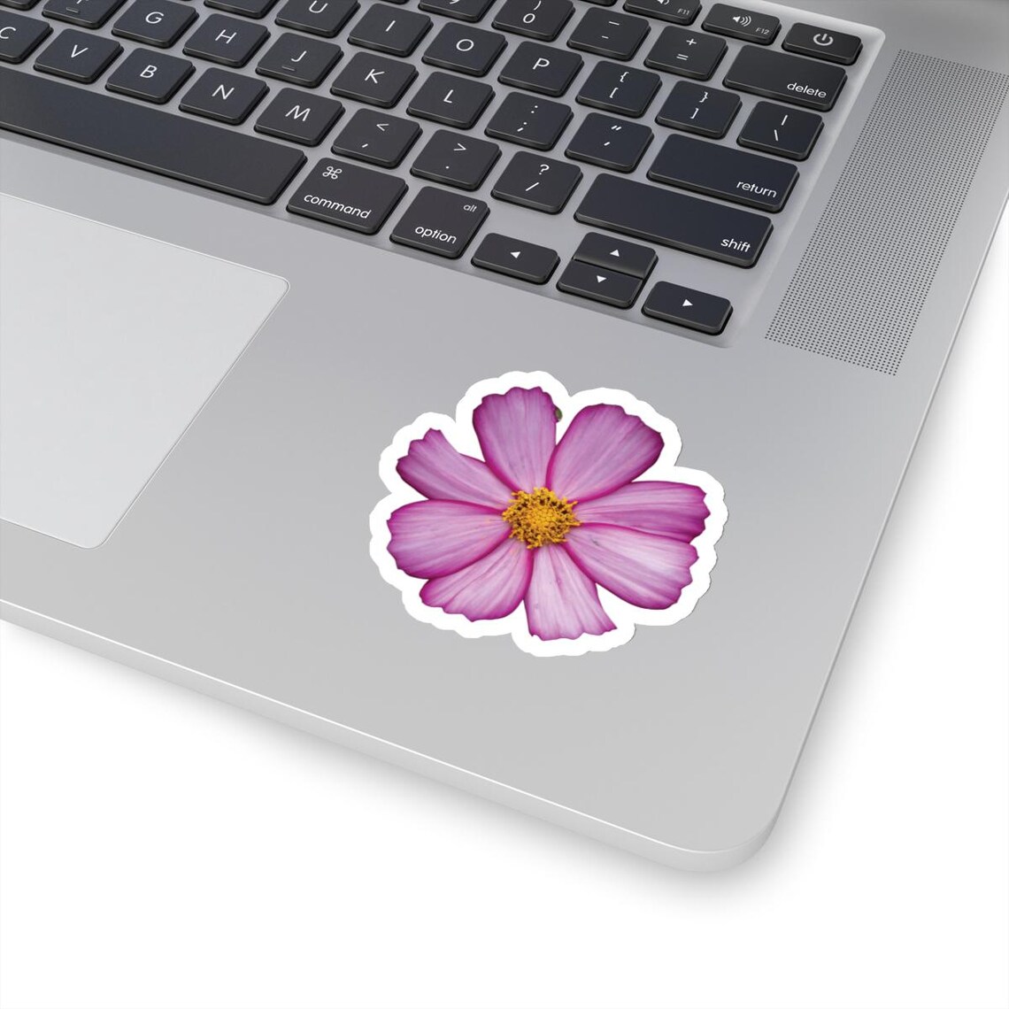 Pink Cosmos Flower Sticker, Garden Flower Sticker, Pink and Yellow ...