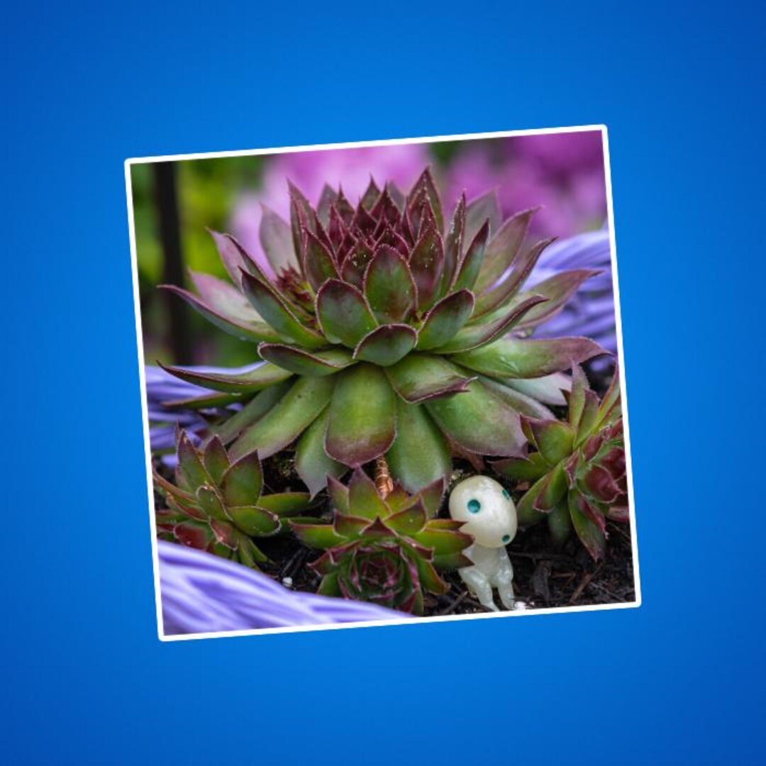 Alien and Succulent Kiss-cut Stickers, Fun Spaceship Laptop Decal, Cute ...