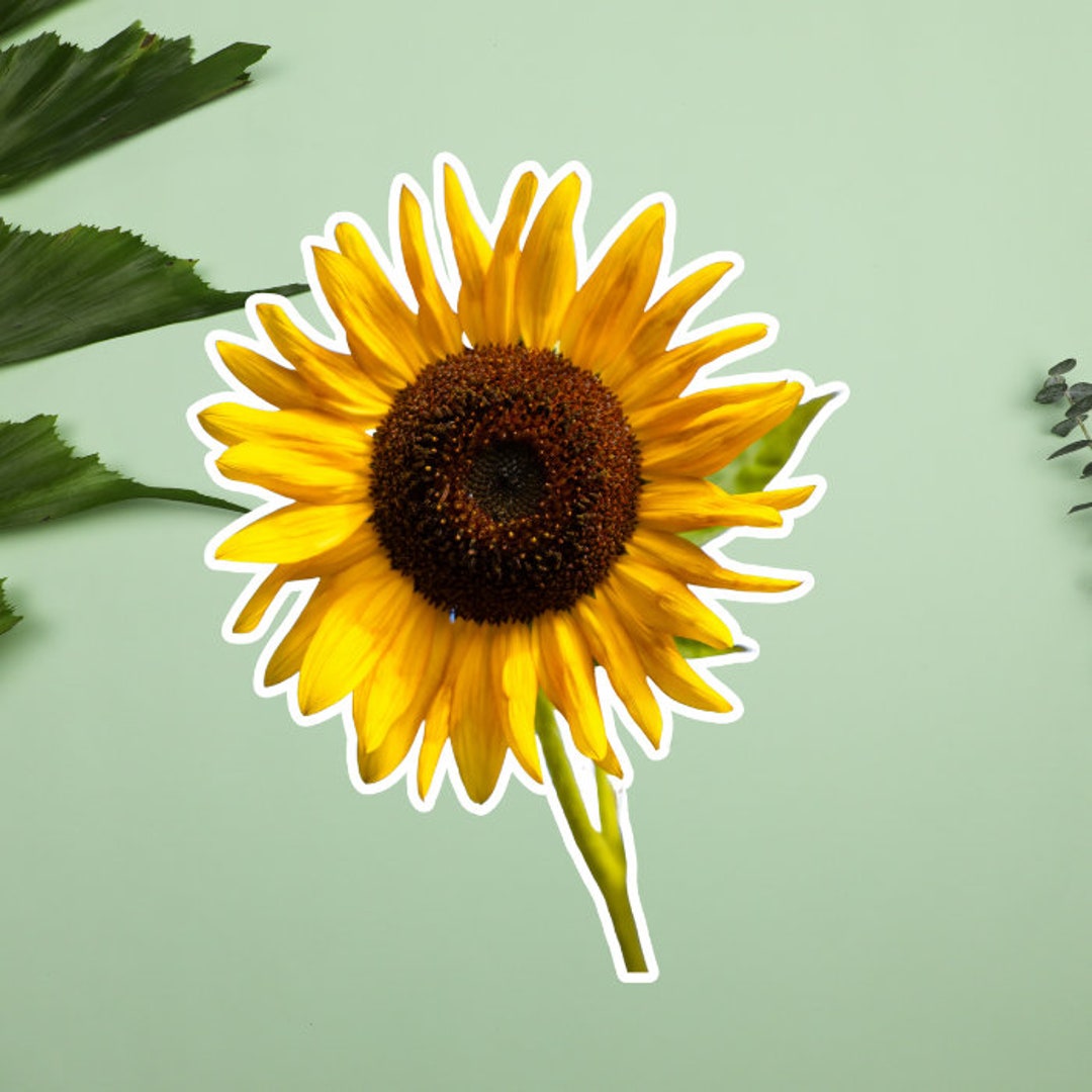 Sunflower Stickers, Sunflowers, Sunflower Seeds, Nature Stickers ...