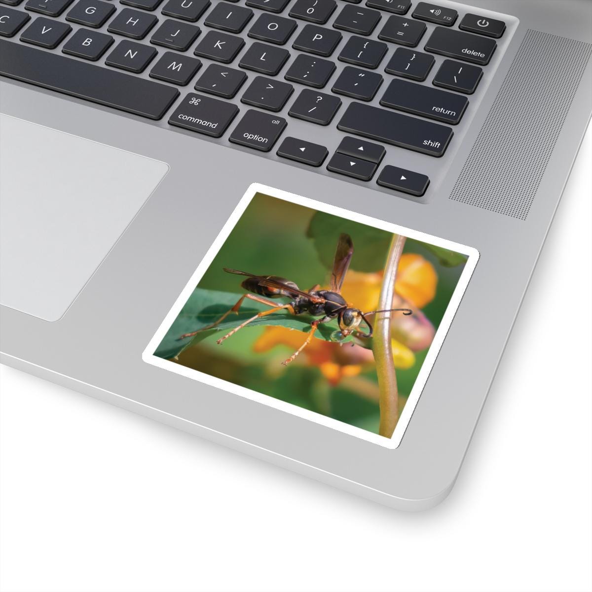 Wasp Sticker, Fancy Wasps, Wasp Drinking Water, Wasp With a Dew Drop ...