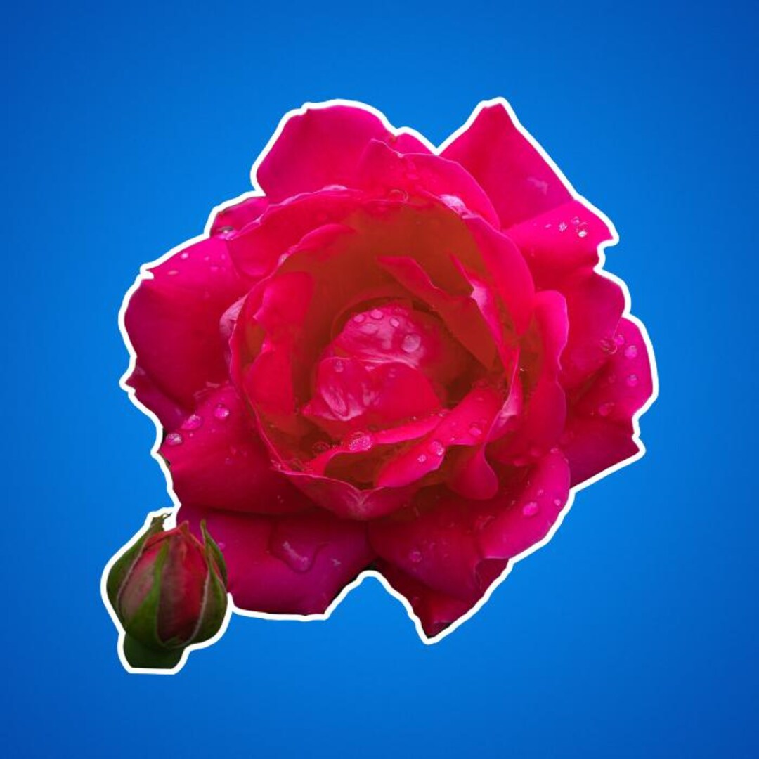 Red Garden Roses Kiss-cut Stickers - Floral Sticker, Flower Decals ...