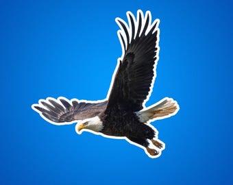 Bald Eagle Stickers, Eagle in Flight Sticker, Soaring Bald Eagle ...