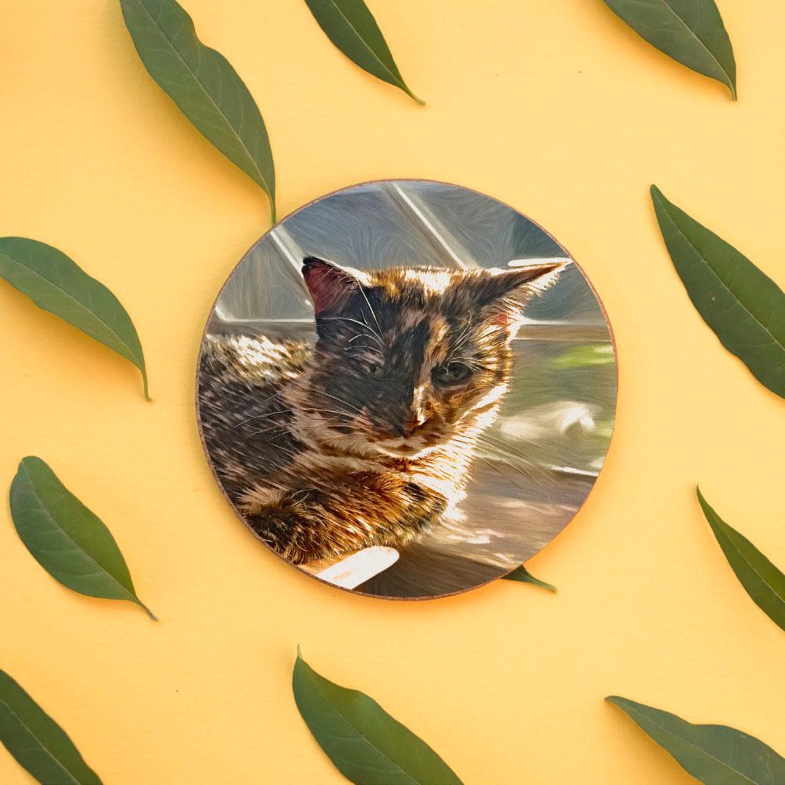 Lazy Cats, Digital Download, Hi-res, Full Colour - Etsy