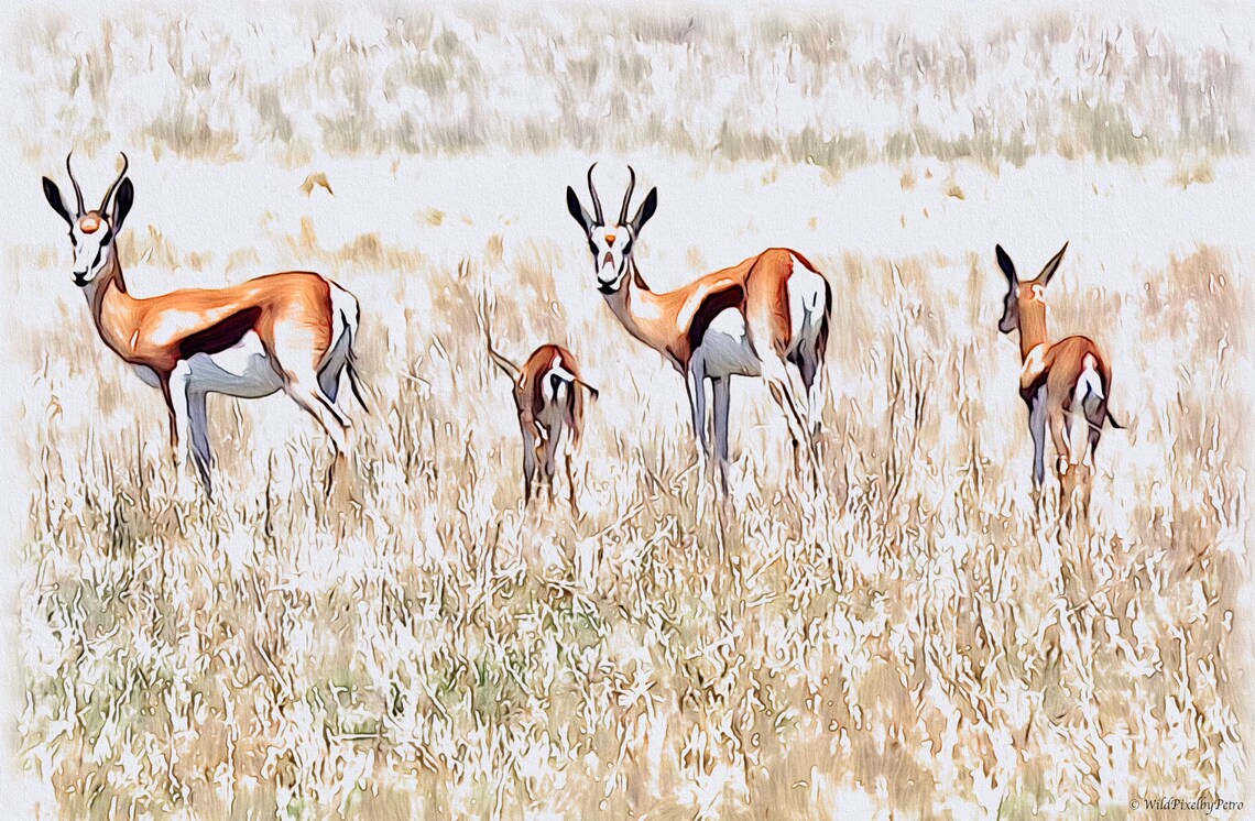 Springbuck With an Artistic Twist. Hi-res, Digital Download, Full ...