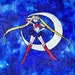 Sailor Moon Hand Embroidered Cloth for Frame - Etsy