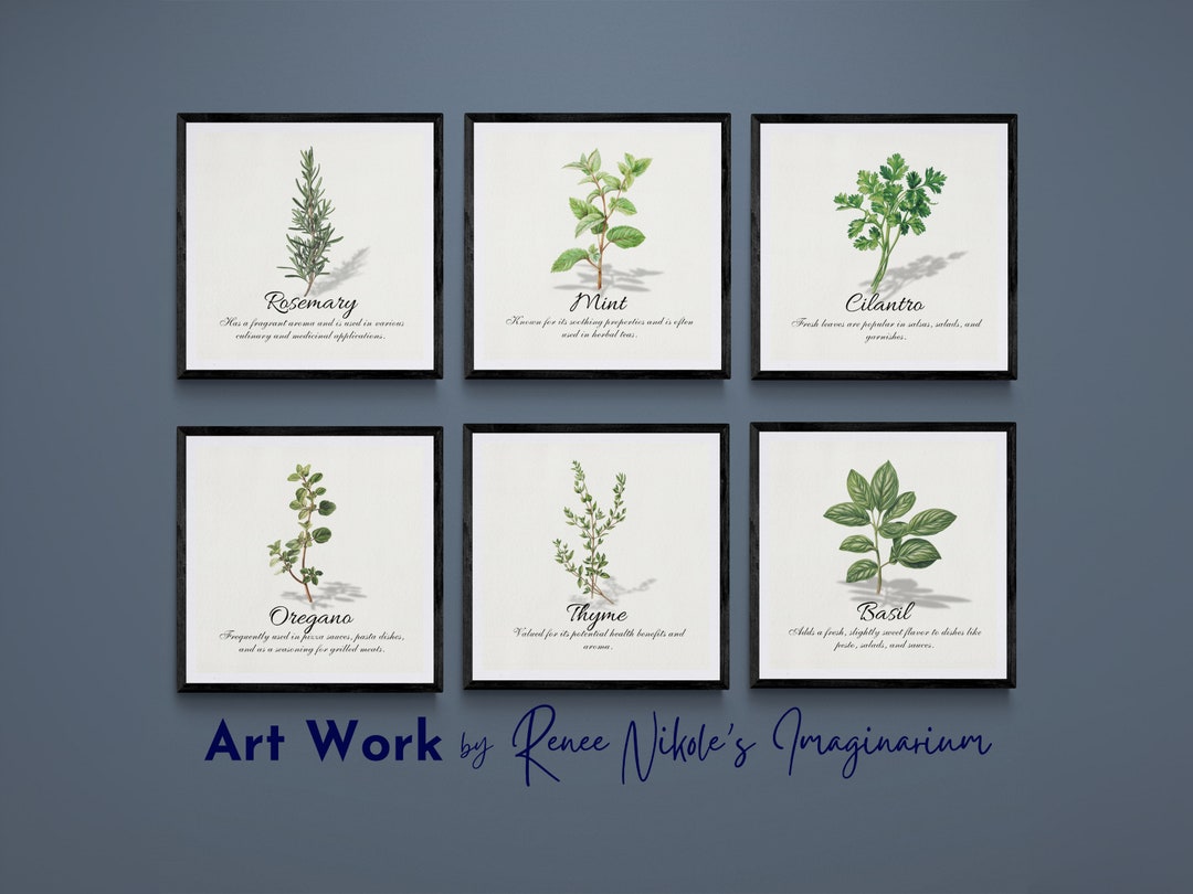 Herb Wall Art Bundle, Digital Download, Square Botanical Prints ...