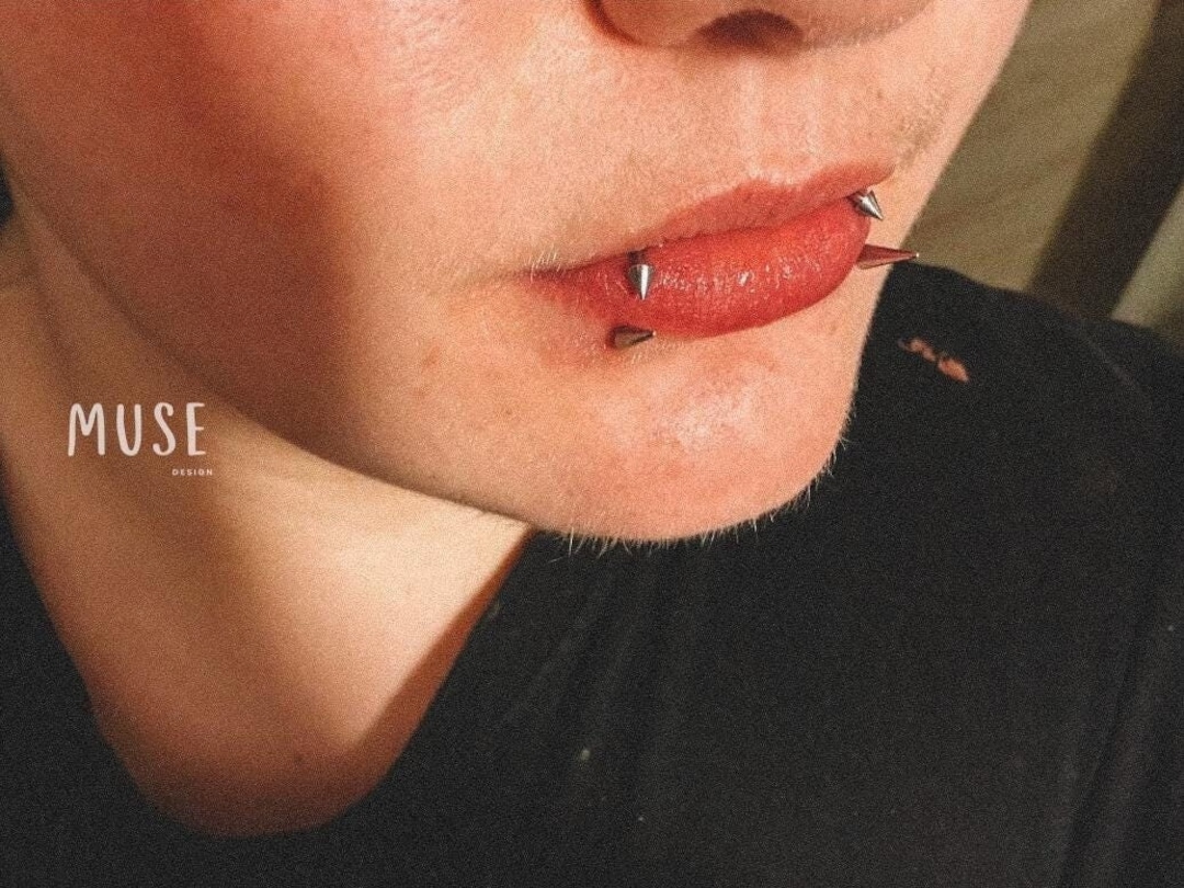 Snake Bite Jewelry 2pcs Cone Lip Rings Spike Lip Ring Horseshoe Piercing Jewelry Stainless Steel ...