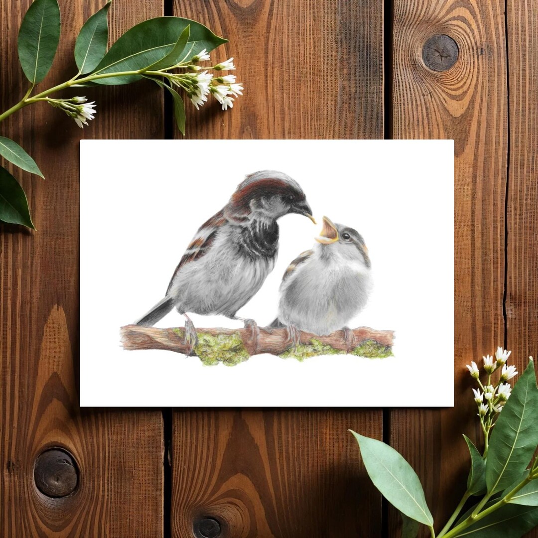 Sparrow and Young Artists Print : Colour Pencil Bird Art (7” X 5") - Etsy