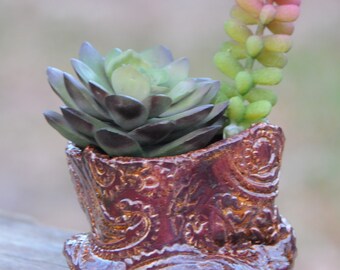 Succulent Pottery Pot That is hand built organic ceramic | Etsy