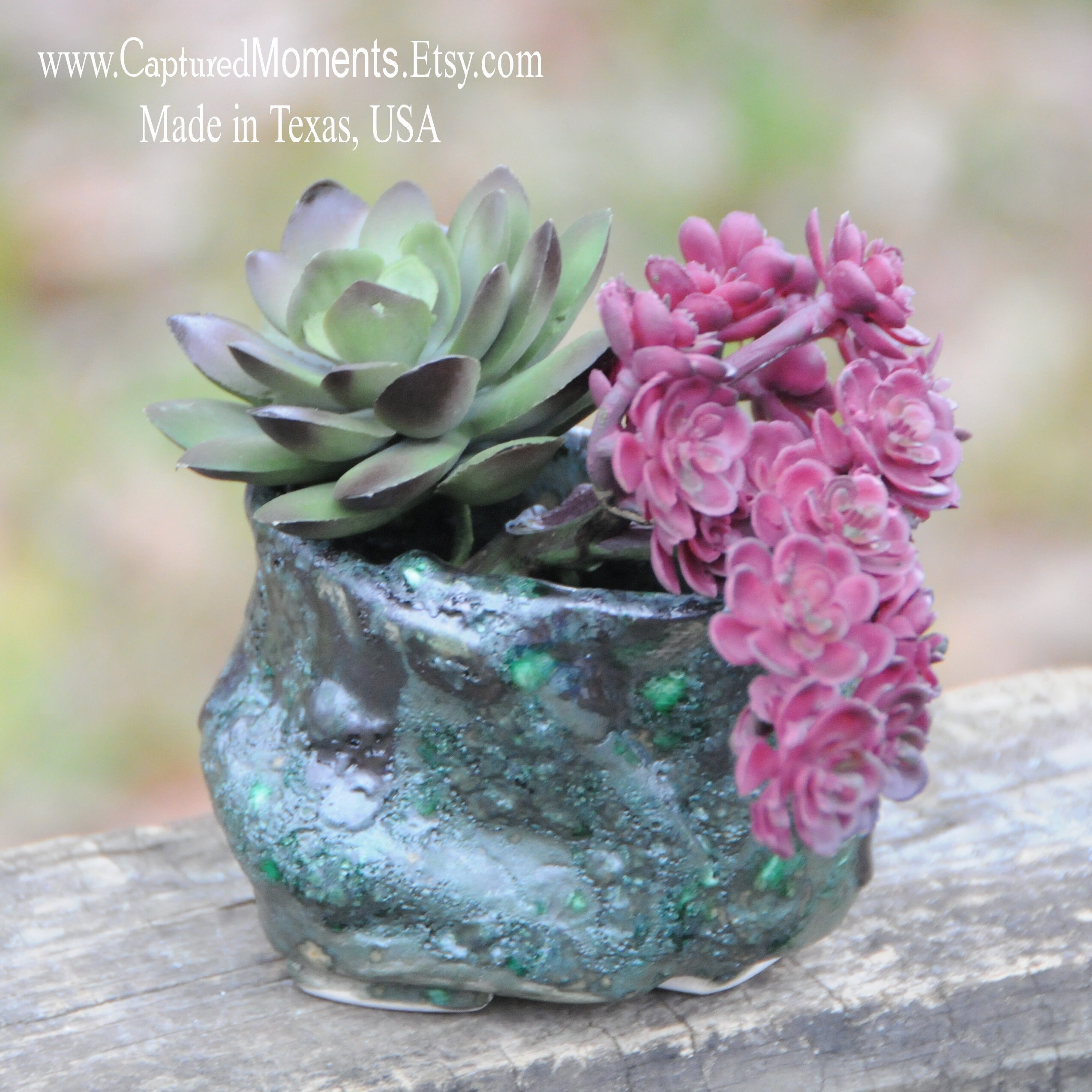 Succulent Pottery Pot That is hand built organic ceramic | Etsy