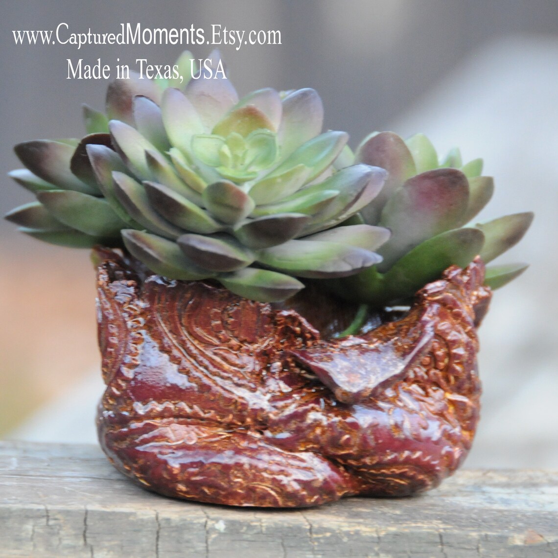 Succulent Pottery Pot That is hand built organic ceramic | Etsy