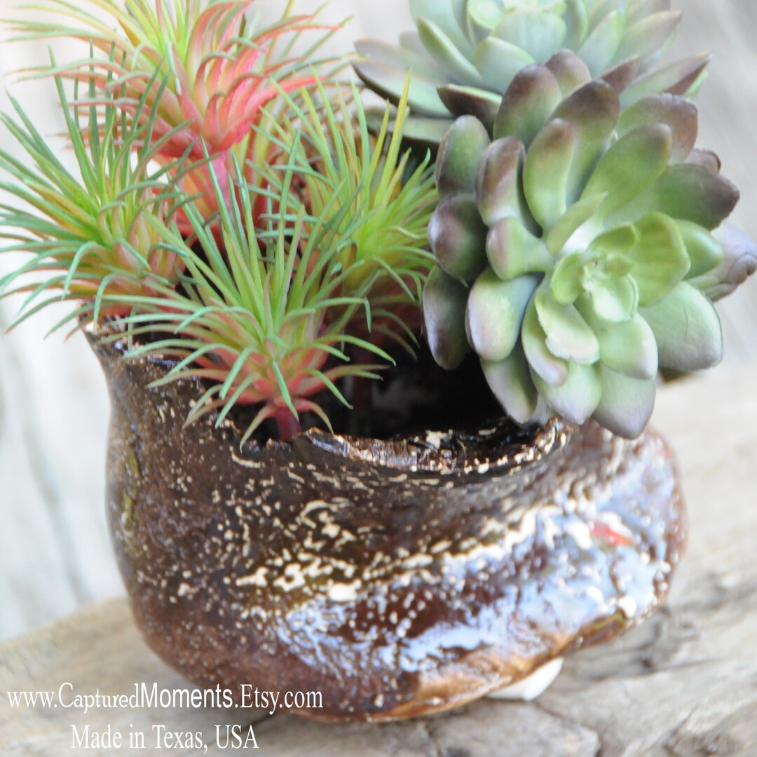Succulent Pottery Pot That is Hand Built, Organic, Ceramic Planter Pot ...