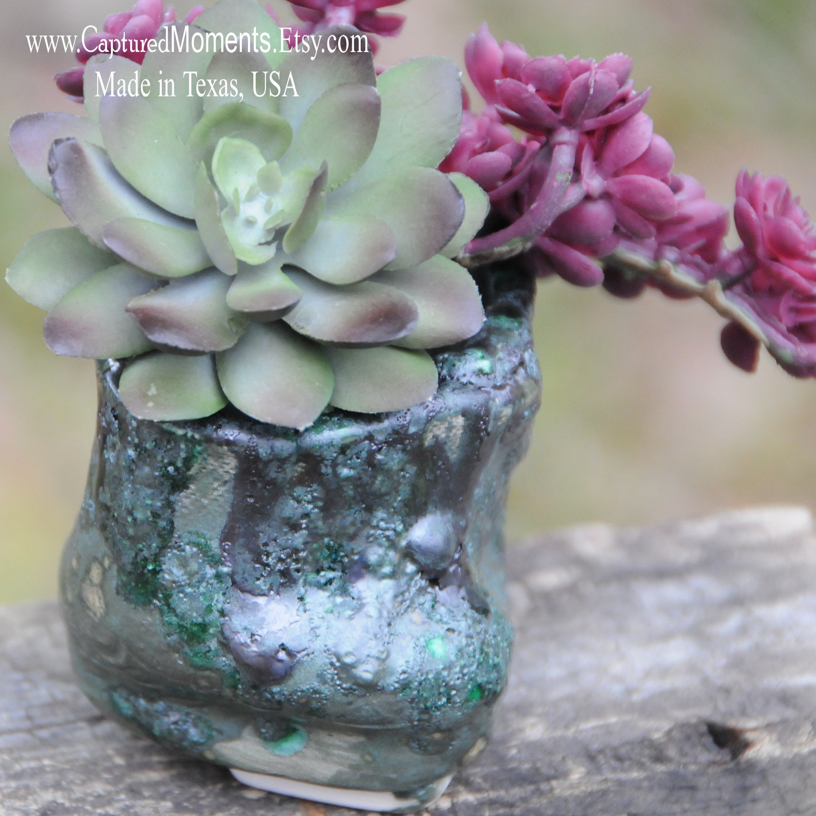 Succulent Pottery Pot That is hand built organic ceramic | Etsy