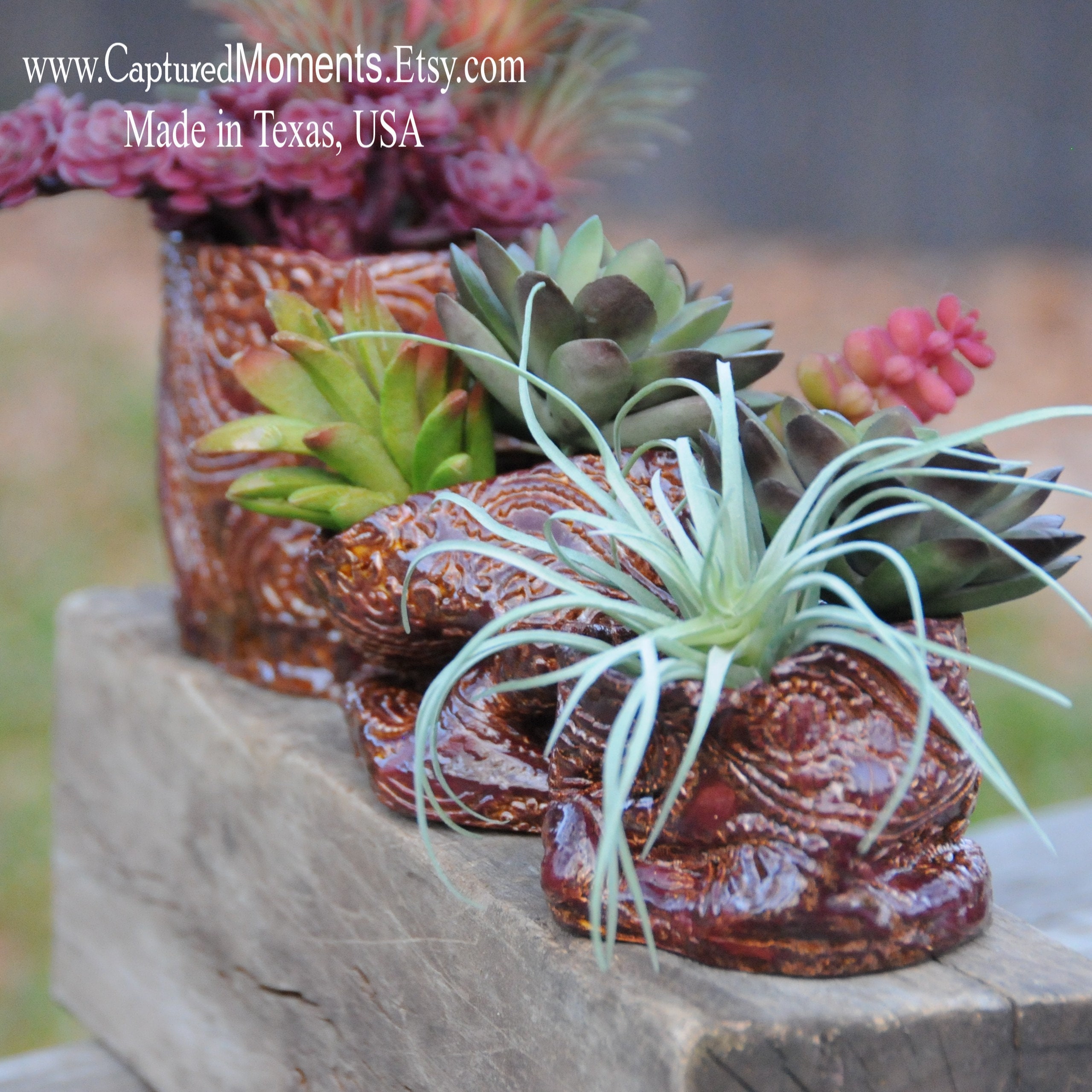 Succulent Pottery Pot That is hand built organic ceramic | Etsy