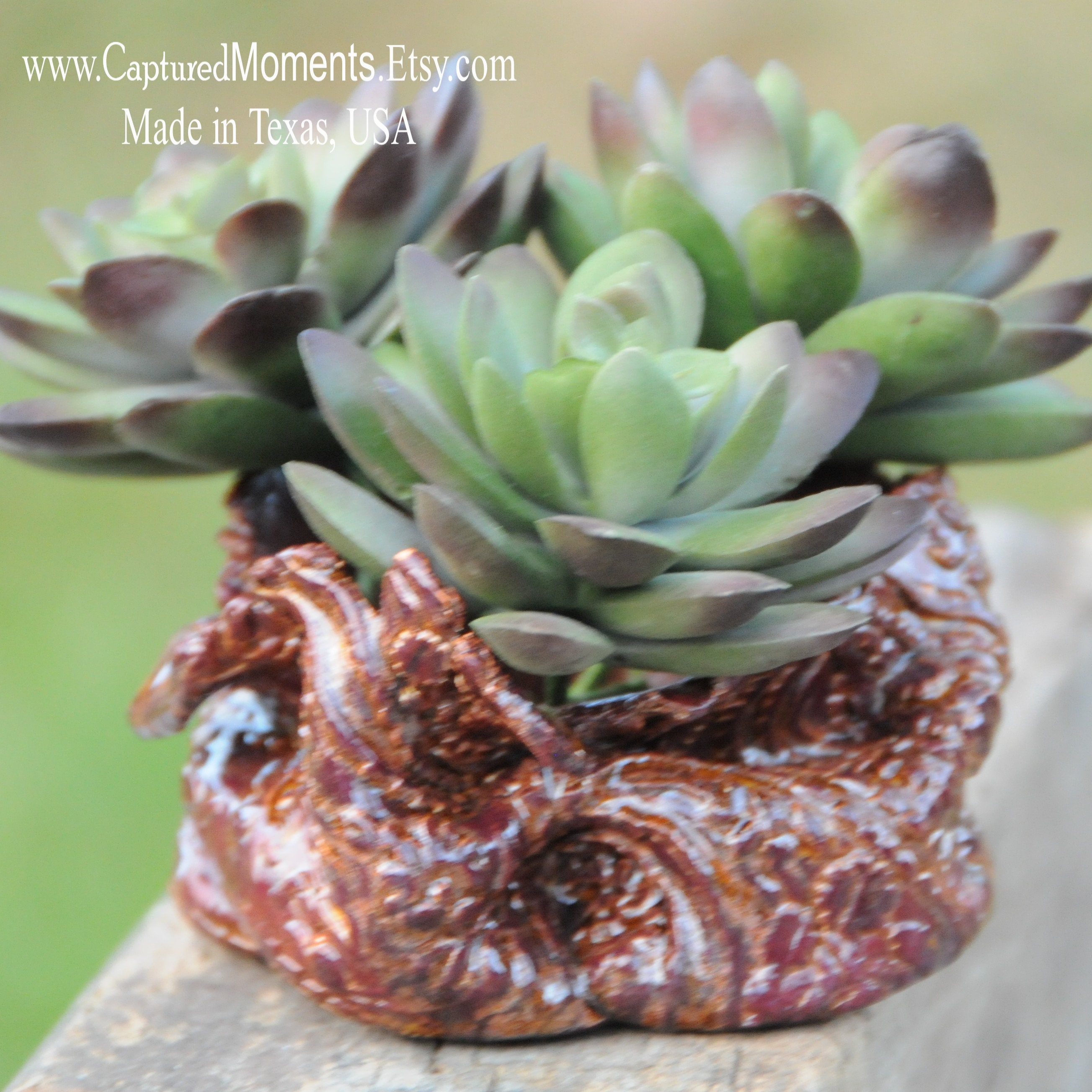 Succulent Pottery Pot That is hand built organic ceramic | Etsy