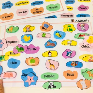 Animals Matching Activity Worksheet, Color Sorting Gift for Kids ...