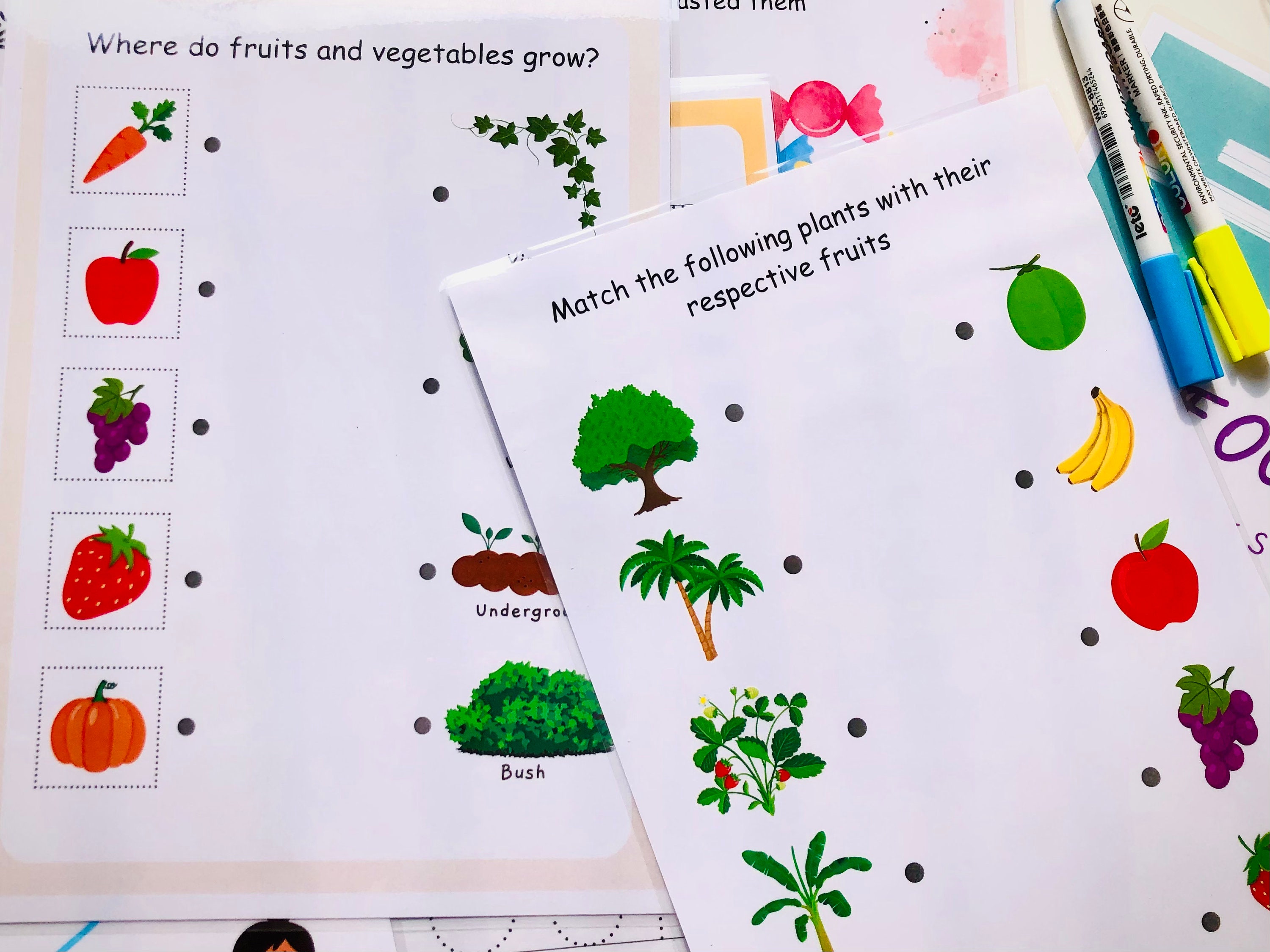 Fruits and Vegetables Activity Worksheet, Healthy & Unhealthy Food ...