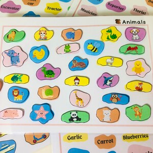 Animals Matching Activity Worksheet, Color Sorting Gift for Kids ...