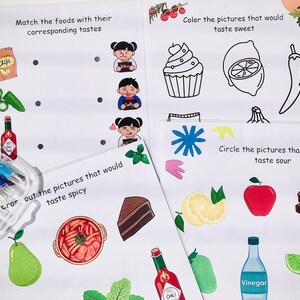 Fruits and Vegetables Activity Worksheet, Healthy & Unhealthy Food ...