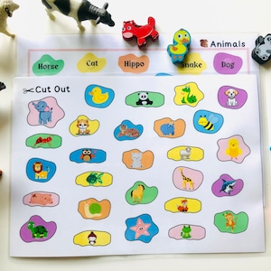 Animals Matching Activity Worksheet, Color Sorting Gift for Kids ...