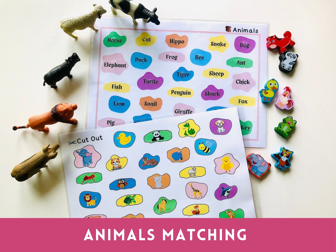 Animals Matching Activity Worksheet, Color Sorting Gift for Kids ...