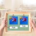 Montessori SH Digraph Flashcards: Homeschool Phonics (digital Download ...