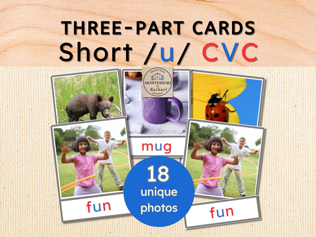 Montessori Three Part Card CVC Word Reading Activity Printable ...