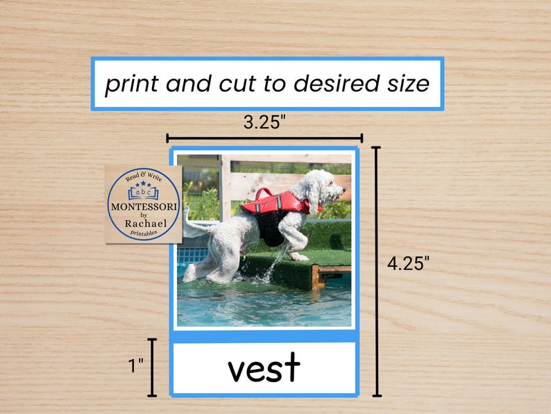 Montessori Blue Series Set 3 CCVC Blends Phonetic Reading Cards Three ...