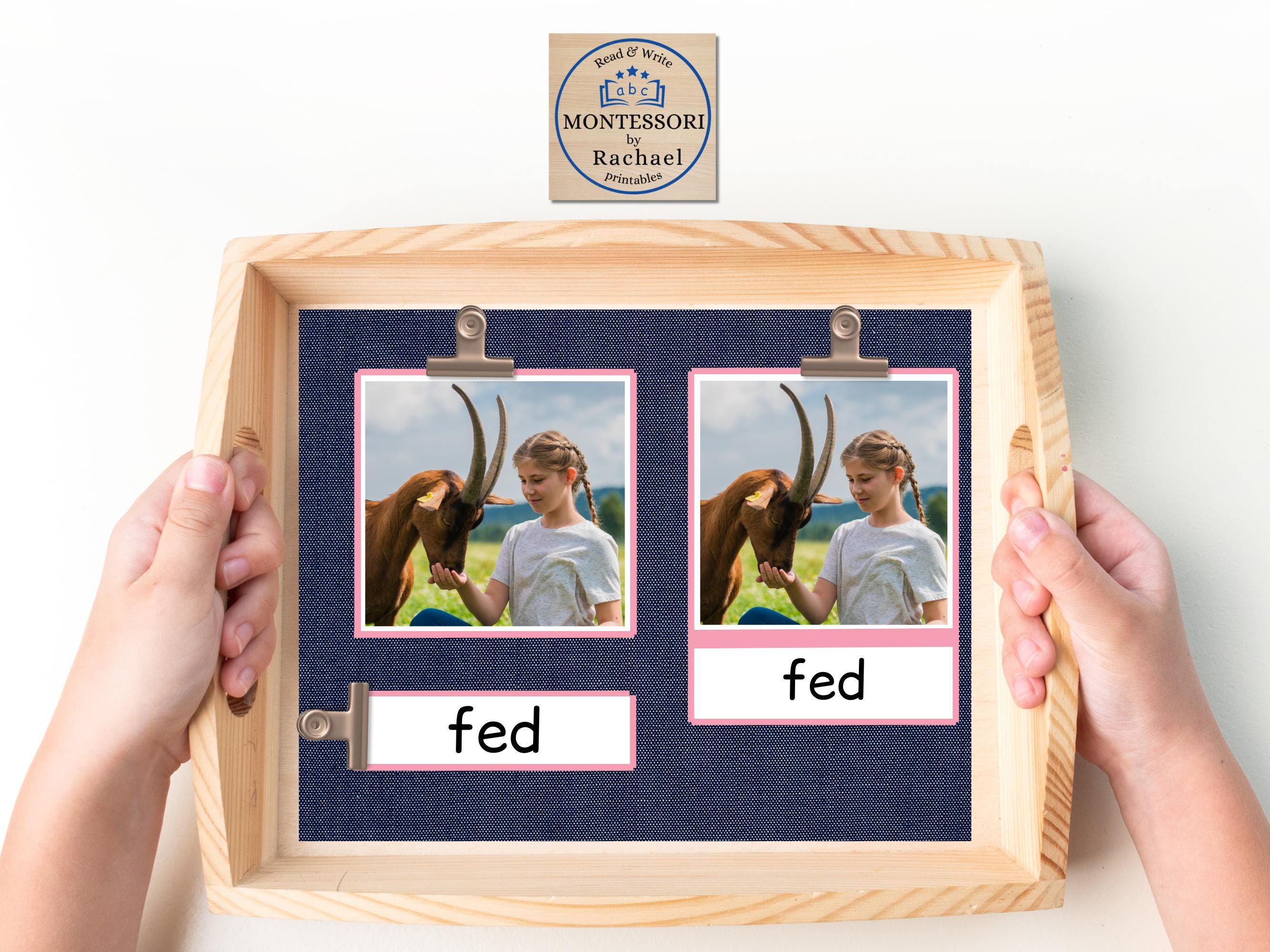 Montessori Pink Series Short E Reading Preschool Montessori Three Part ...