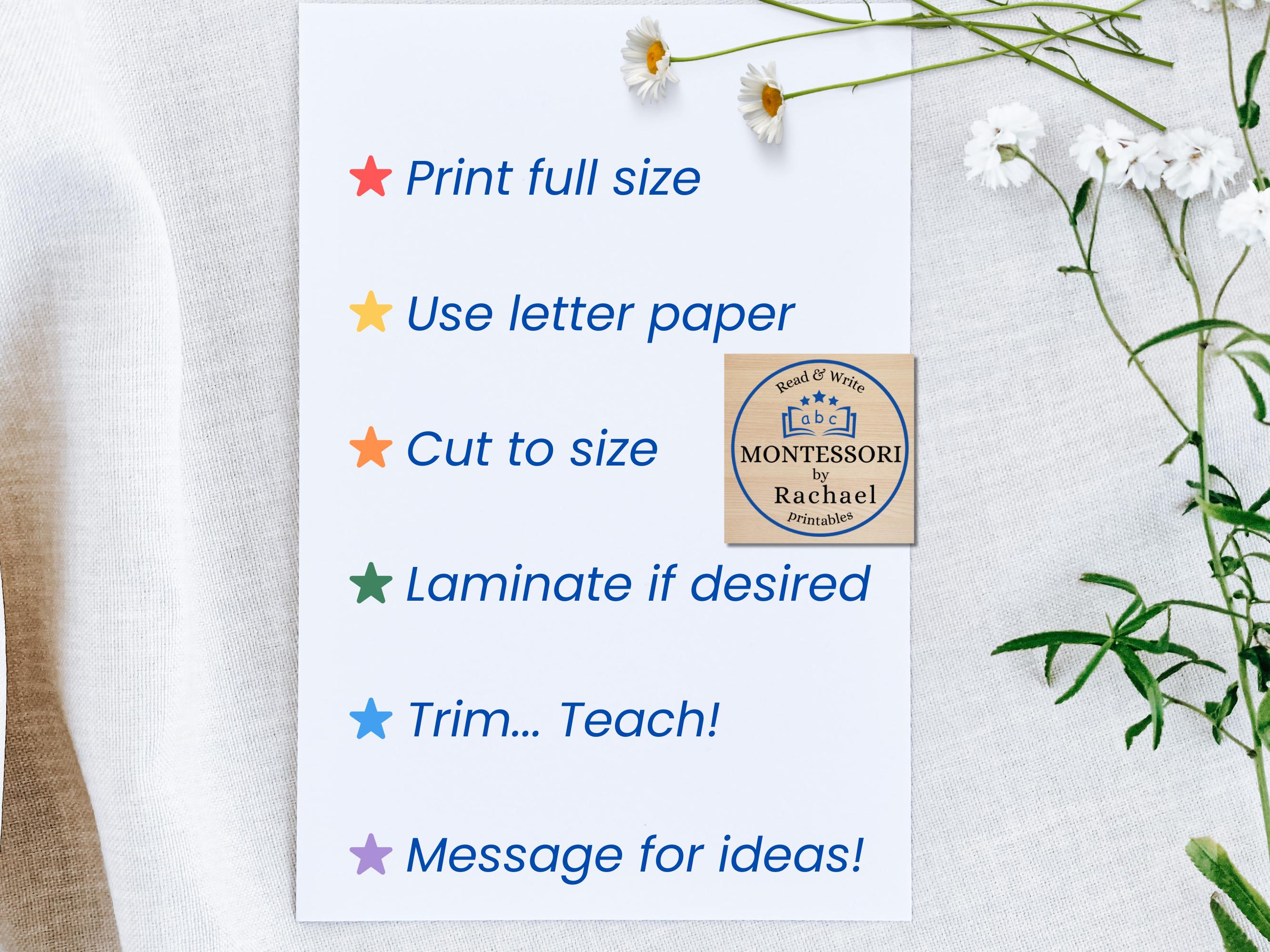 Montessori Pink Series Short E Reading Preschool Montessori Three Part ...