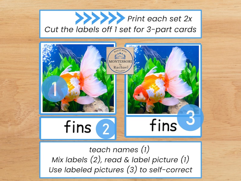 Montessori Blue Series Set 3 CCVC Blends Phonetic Reading Cards Three ...