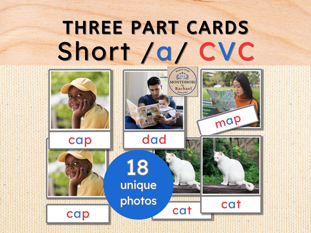 Montessori Three Part Card CVC Word Reading Activity Printable ...