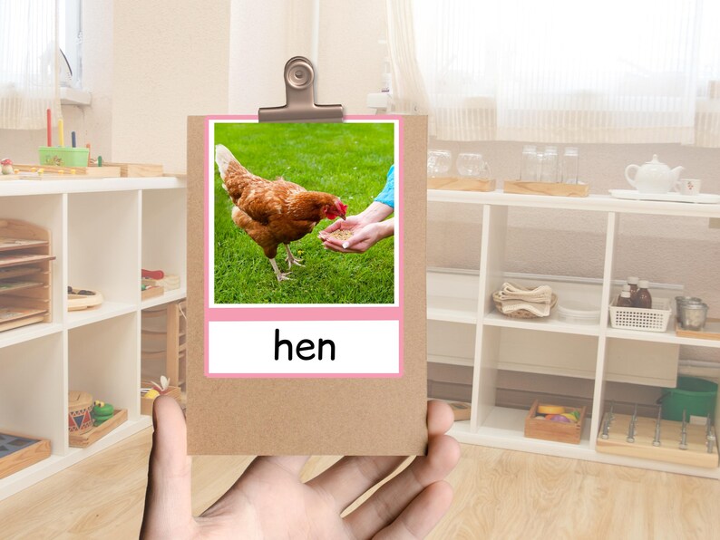 Montessori Pink Series Short E Reading Preschool Montessori Three Part ...