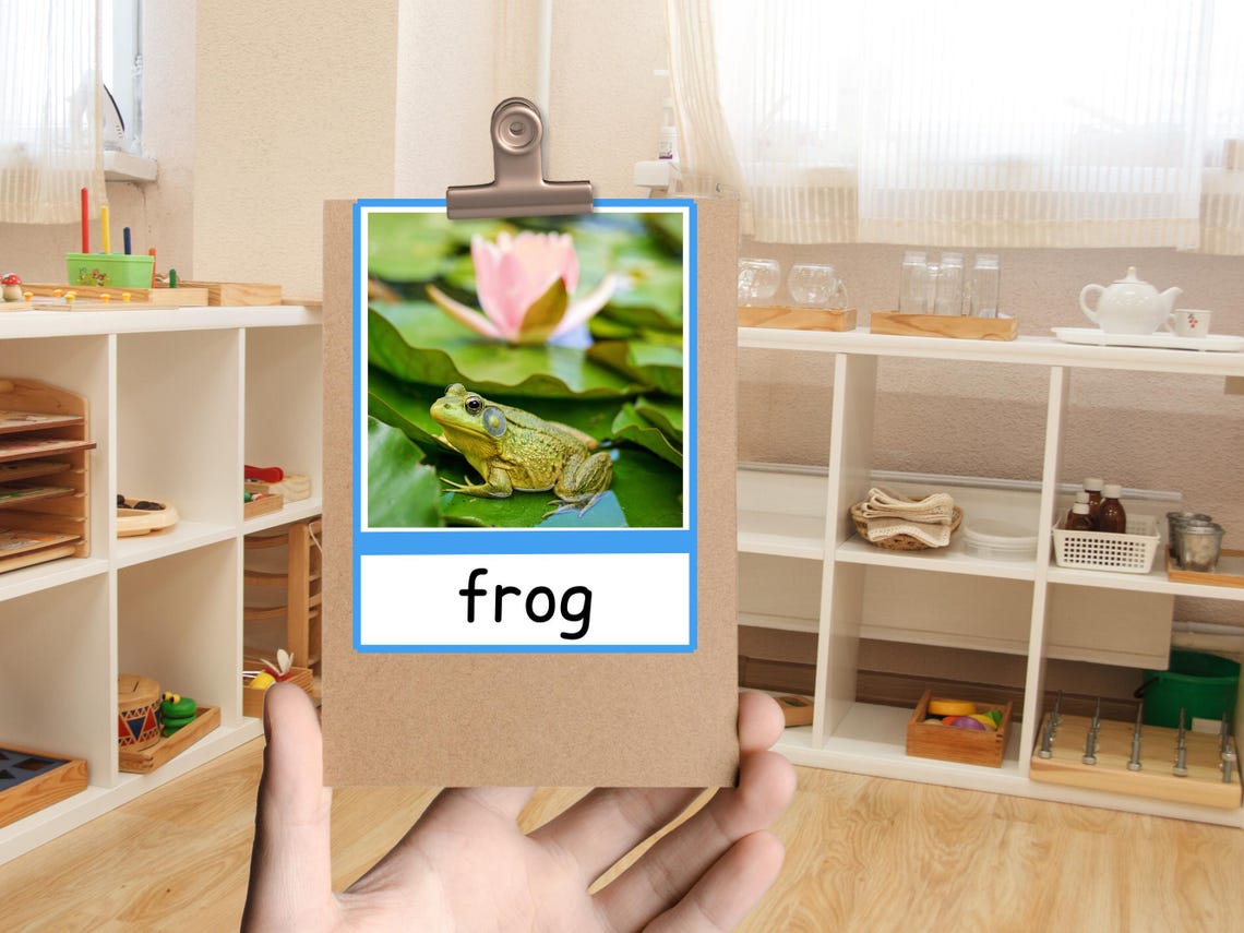 Montessori Blue Series Set 1 Phonetic CCVC Blends Flashcards Montessori ...