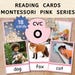 Montessori Pink Series Short E Reading Preschool Montessori Three Part ...