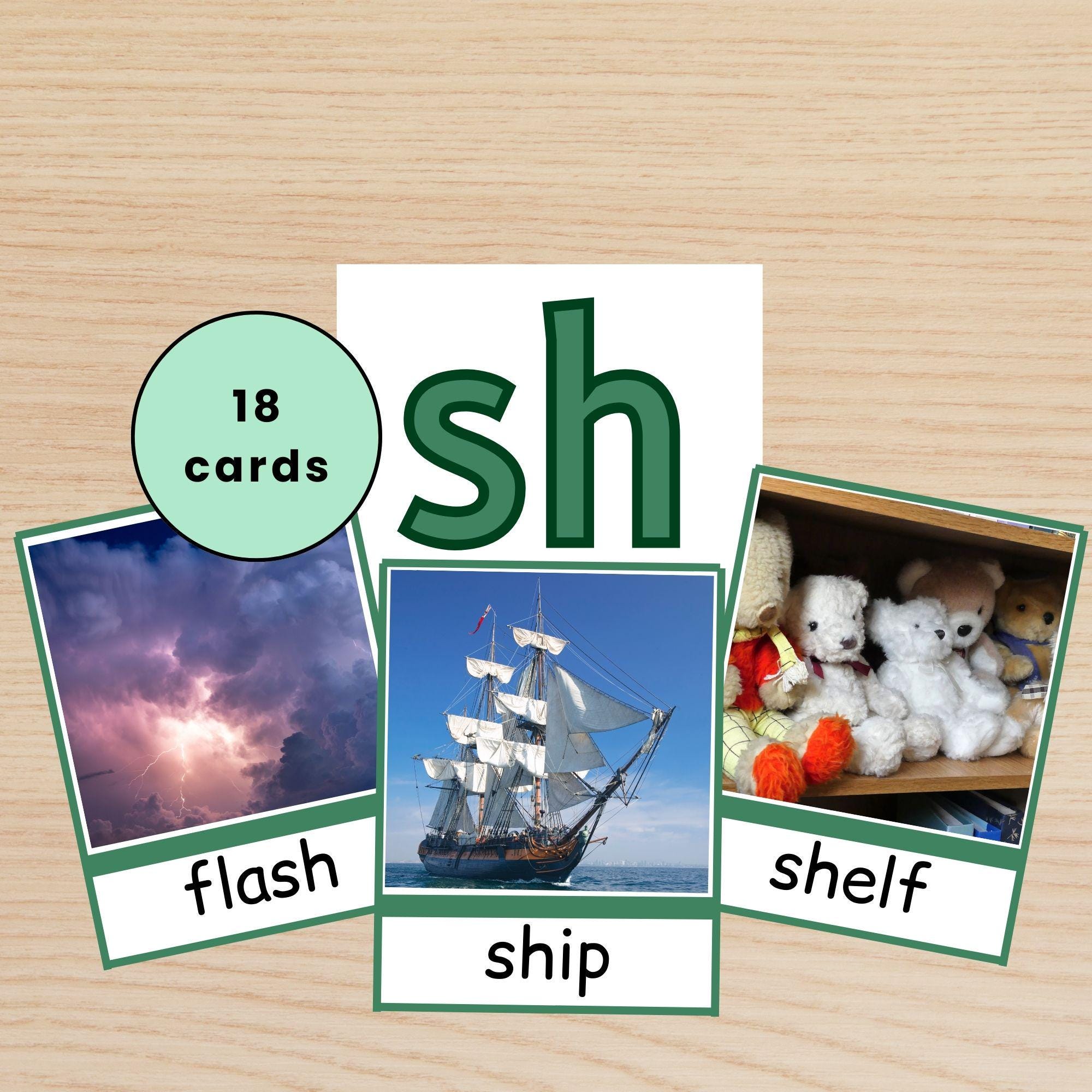 Montessori SH Digraph Flashcards: Homeschool Phonics (digital Download ...