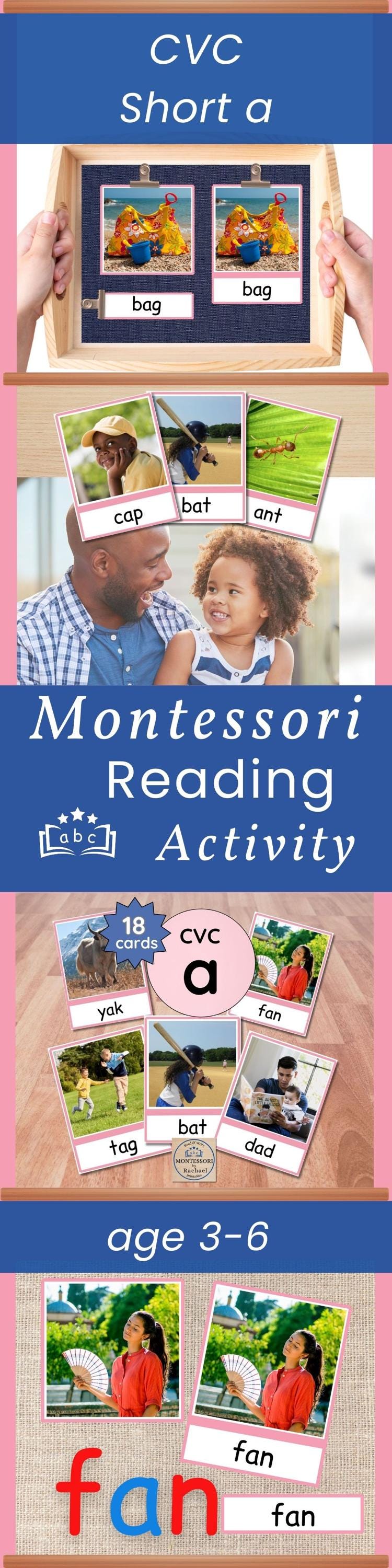 Montessori Pink Series Short A Reading Cards Beginning Phonics ...