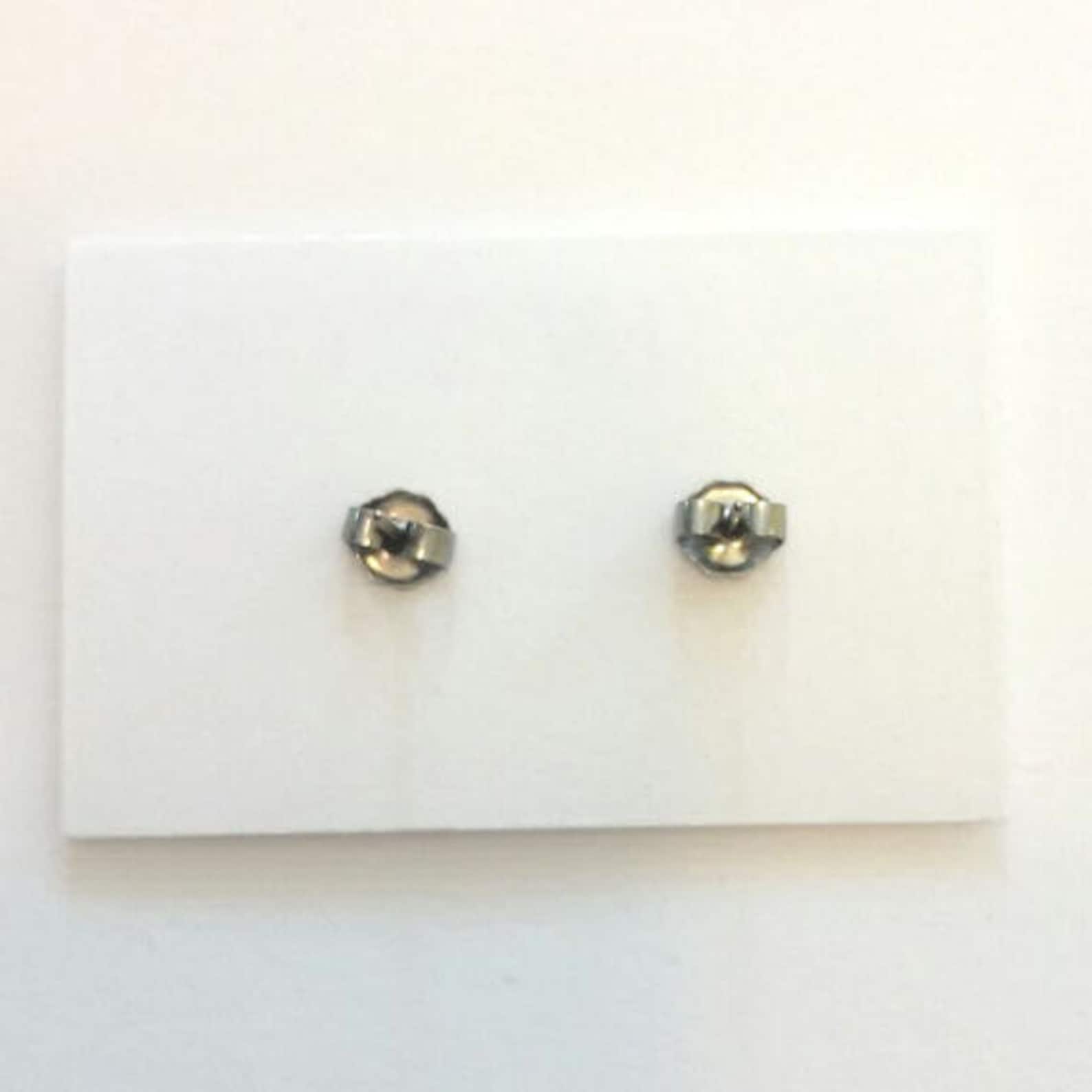 Tina Fey and Amy Poehler - Your Choice of Stud or Dangle Titanium ...