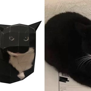 Maxwell the Cat Papercraft Template – DIY Meme Sculpture (instant ...