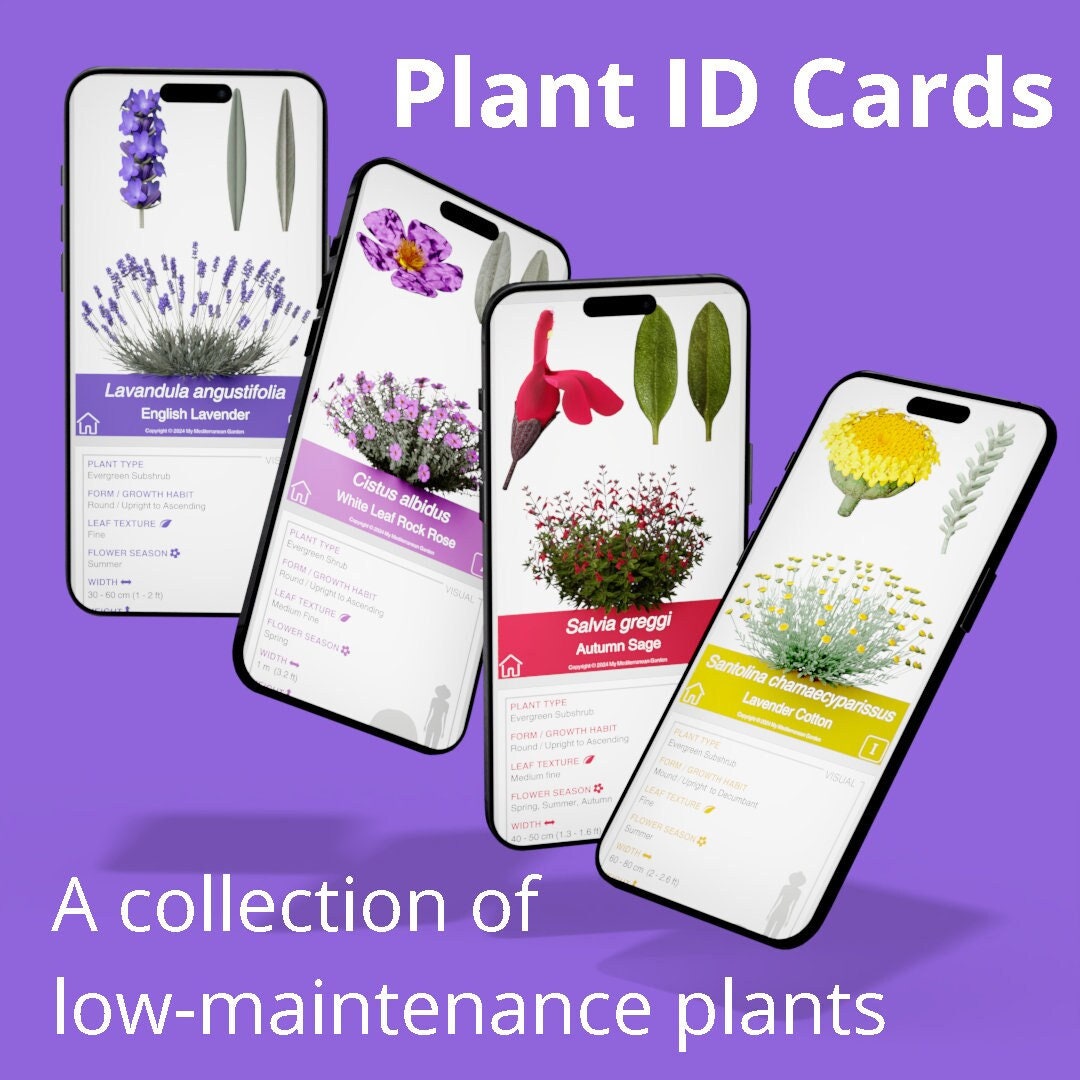 Plant Identification Cards for Drought-tolerant Plants Printable Cards ...